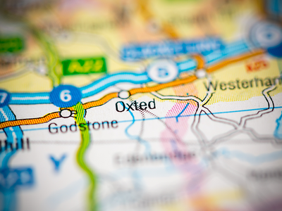 Best practice guidance for planners on badgers published | The Planner