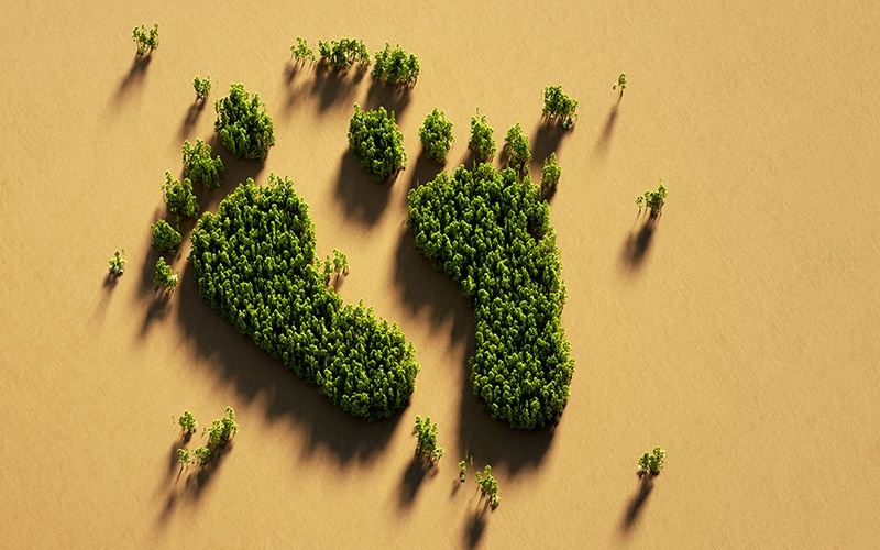 Draft NPPF: Positive steps, but more certainty on climate and ...