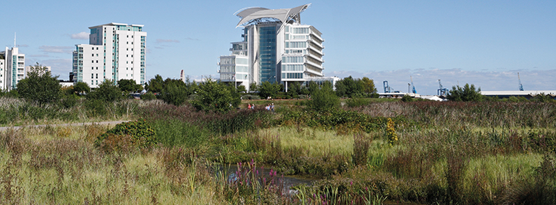 Net gain? Five BNG risks explained | The Planner