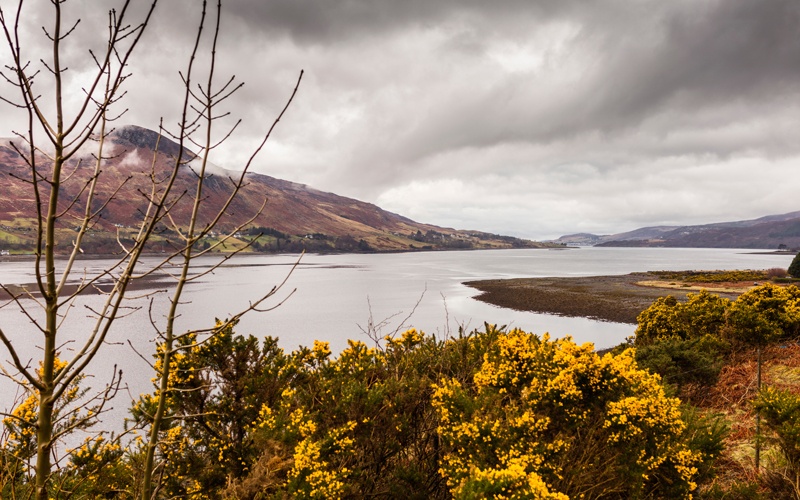 Highland sporting estate bought to boost conservation | The Planner