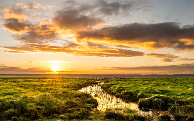 Appeal: Large wind turbine justified in sensitive Gwent Levels | The ...