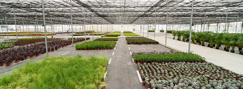 Appeal: Conversion of greenhouse to residential use allowed under GPDO ...