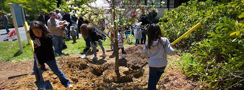 Funding for local green spaces in London | The Planner